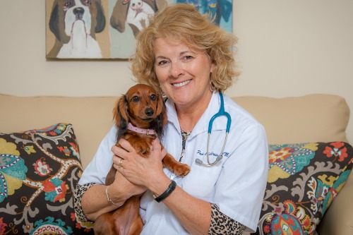 Staff of Nash County Animal Hospital, Nashville NC Vets